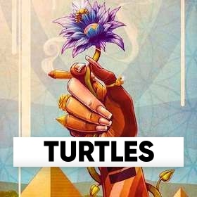 Turtles | Beathunterz